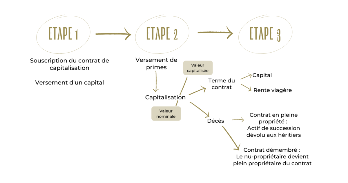 Capitalisation - Bottero Patrimoine